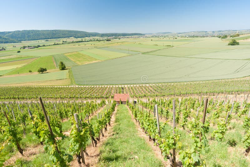 Switzerland agriculture stock image. Image of mountain - 26721725