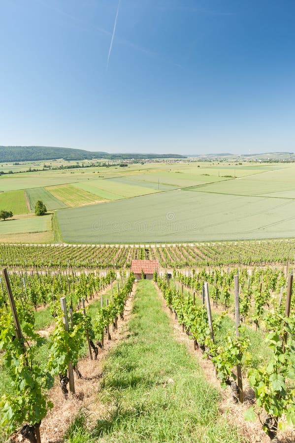 Klettgau stock photo. Image of landscape, nature, vineyard - 68042742