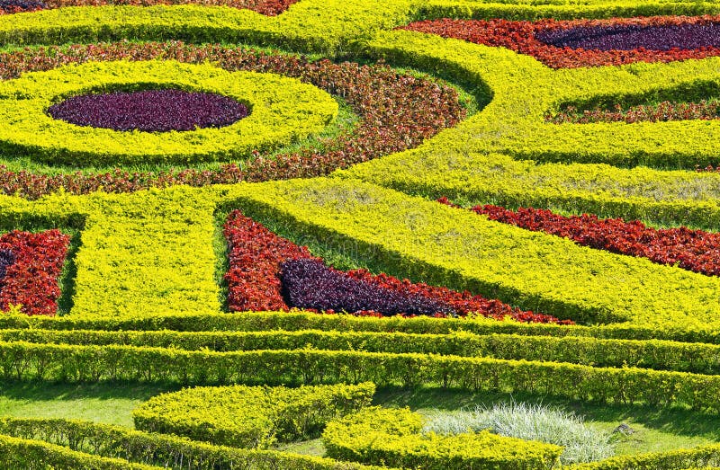 Kleurrijke bloementuin stock afbeelding. Image of roze - 34823013