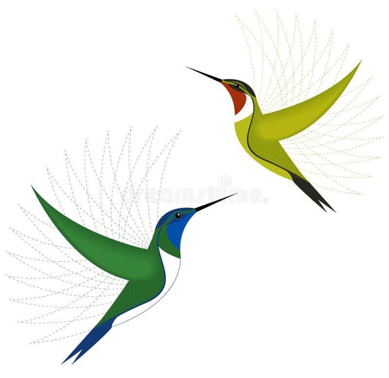 Kolibrie vector illustratie. Illustration of dier, stijl - 32771731