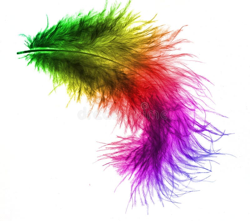 Kleurrijke pluim stock foto. Image of purper, schrijf - 19398886
