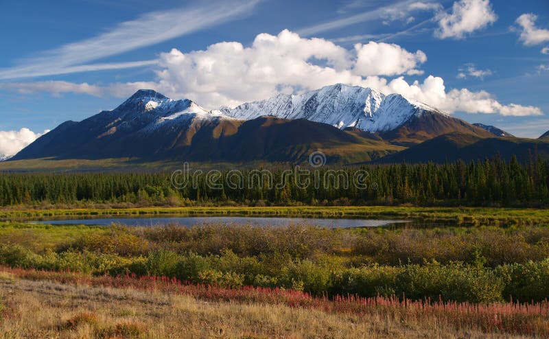 Kluane national park stock photo. Image of mountain, forest - 88291366