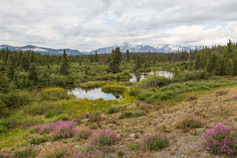 Kluane range stock photo. Image of yukon, range, water - 79655784