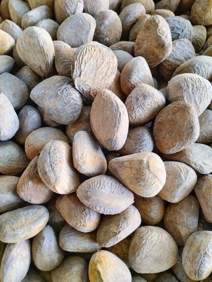 Pucung Fruit Stock Photos - Free & Royalty-Free Stock Photos from ...