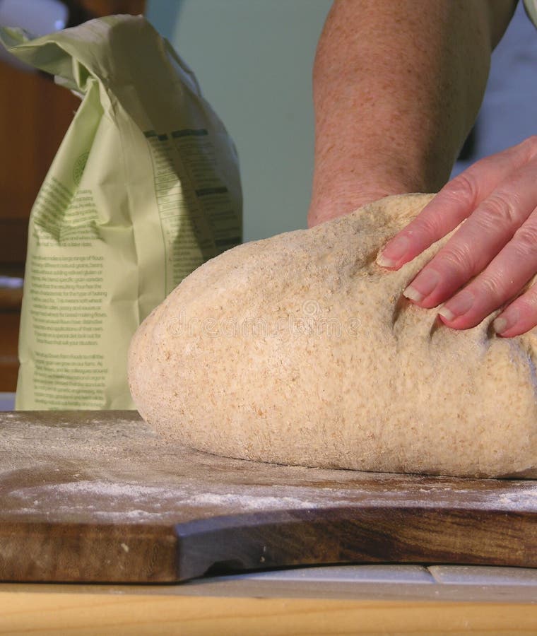 Kneading bread dough stock photo. Image of dough, food - 10540506