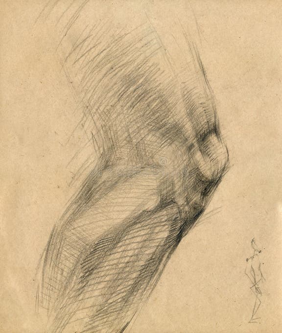 Knee Drawing Stock Illustrations – 6,968 Knee Drawing Stock ...