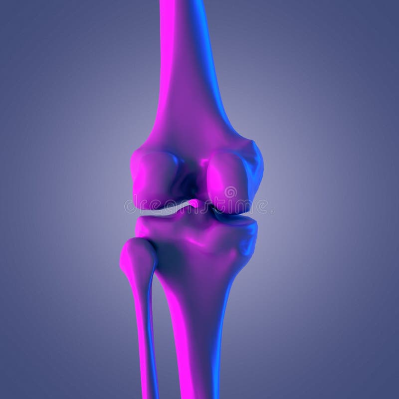The knee joint stock illustration. Illustration of rendering - 144302228