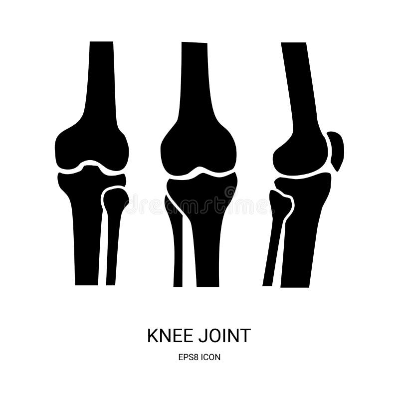 Knee Joint Icon stock vector. Illustration of movement - 111175117
