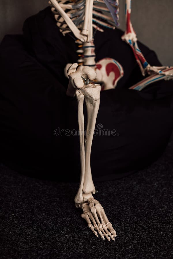 153 Crossed Bones Stock Photos - Free & Royalty-Free Stock Photos from ...