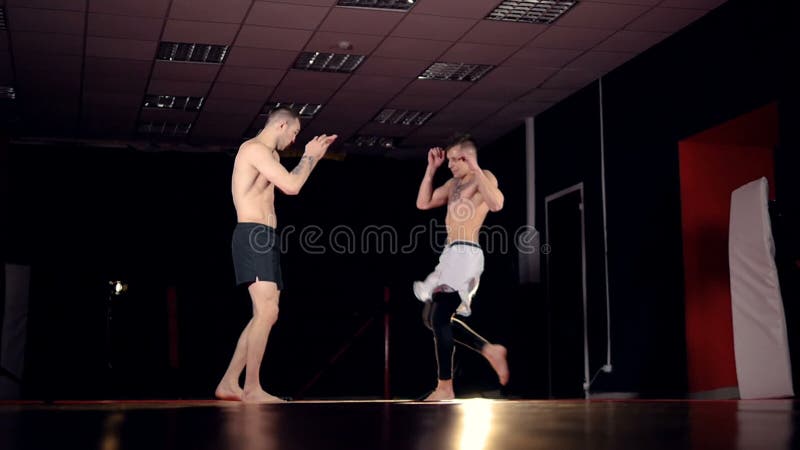 Knee kick stock photo. Image of power, muscular, athlete - 9446576