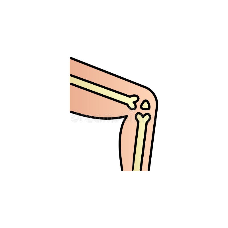 Knee, Leg, Bone Color Gradient Vector Icon Stock Illustration ...