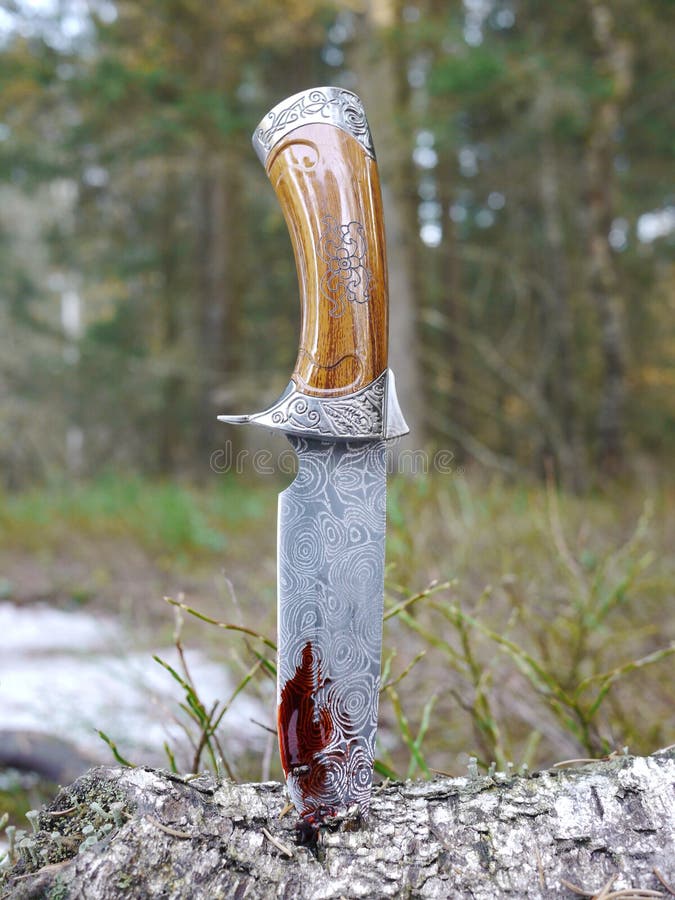 Knife with blood outdoors stock photo. Image of murderer - 81998844