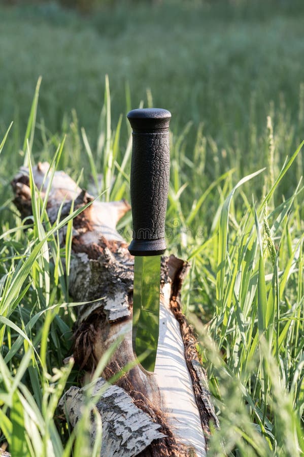 A Knife Embedded in a Tree. Knife in the Tree on the Green Grass Stock ...
