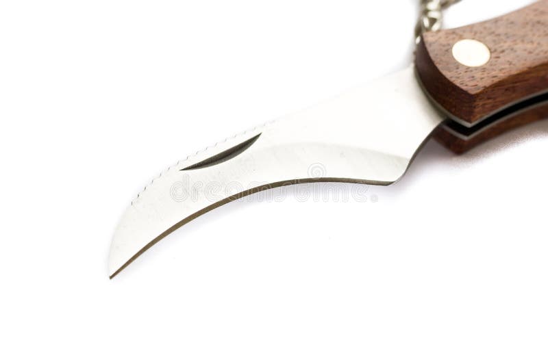 Knife in the Shape of a Sickle. a Sharp Knife with a Saw Stock Photo ...