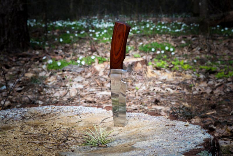 The Knife is Stuck in the Stump. Stock Photo - Image of picnic, tree ...