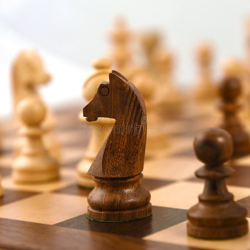 Knight on the chess board stock image. Image of play - 77336931
