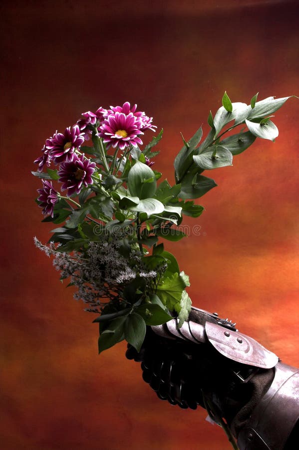 Knight and flowers stock photo. Image of romance, gift - 3341494