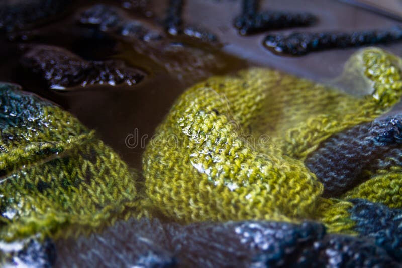 Knitted Fabric Soaking in Water Stock Image - Image of hobbies ...