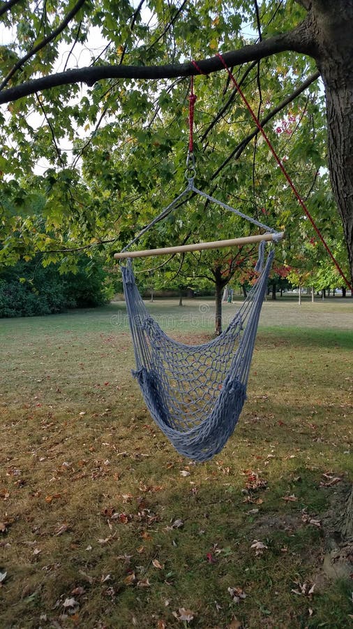 Hammock under the tree stock photo. Image of lifestyle - 256282664
