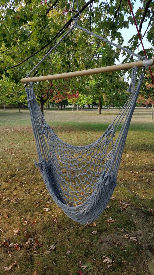 Hammock under the tree stock photo. Image of relax, romance - 256282682