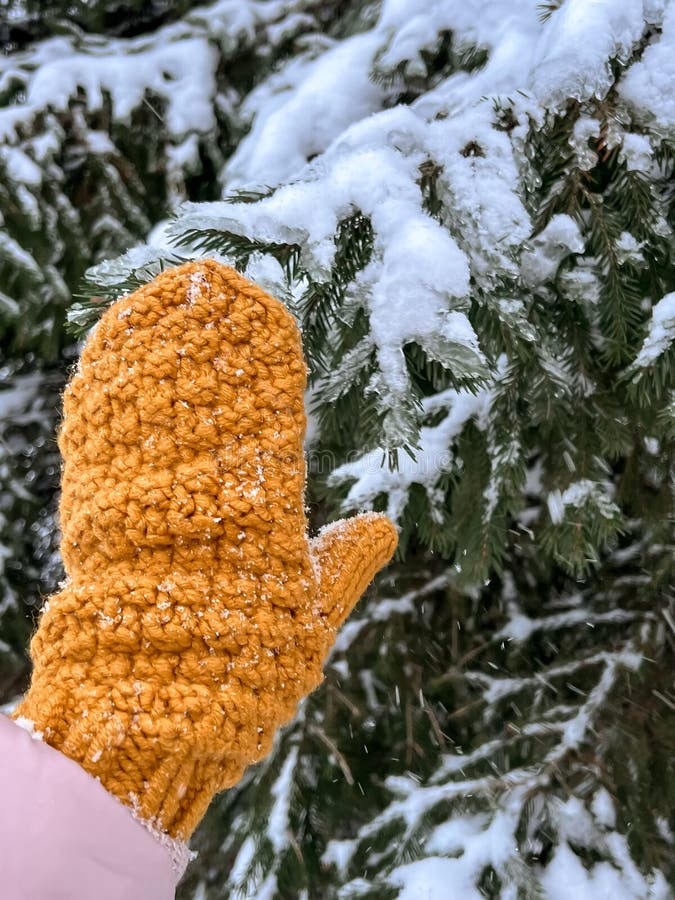 Knitted Orange Mitten on the Background of a Green Winter Christmas ...