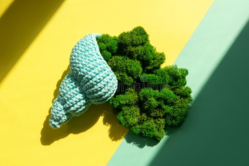 Knitted Shell with Moss Decorating Stock Photo - Image of beach ...