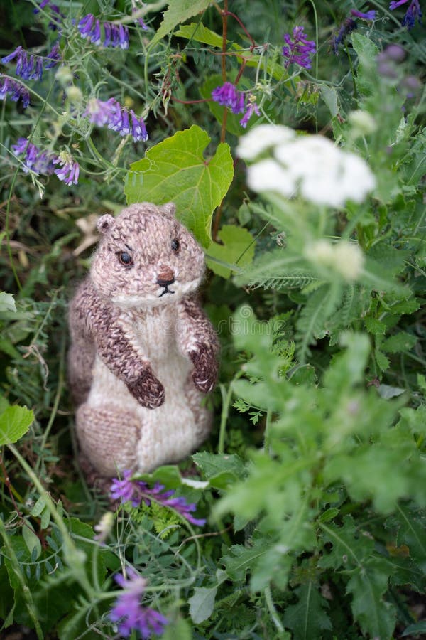 Knitted toy gopher stock image. Image of childhood, child - 250402097