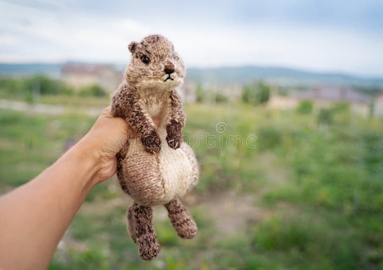 Knitted toy gopher stock image. Image of amigurumi, play - 250402131