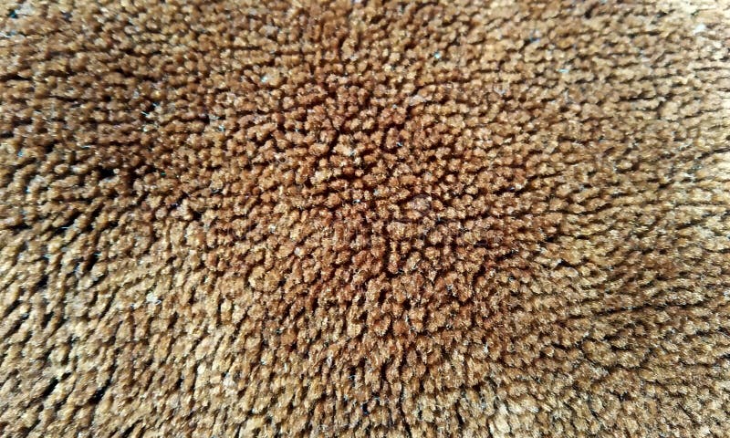 Knitted Wool Texture.Cloth Texture.Cloth Knitted Wool Background ...