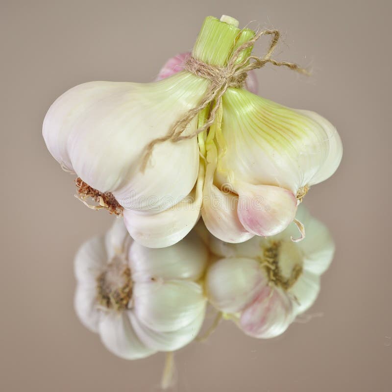 Knoblauch stockbild. Bild von geschmack, küche, frisch - 41440705