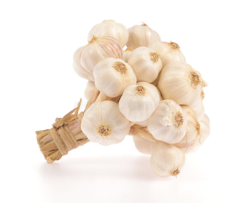 Knoblauch stockbild. Bild von gewürz, gesundheit, diät - 43104125