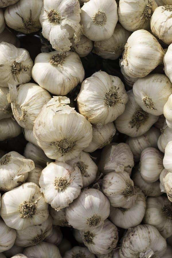 Knoblauch stockbild. Bild von bestandteil, nahaufnahme - 75934149