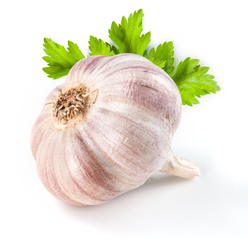 Knoblauchzehe auf Weiß stockfoto. Bild von schnittlauch - 38287012