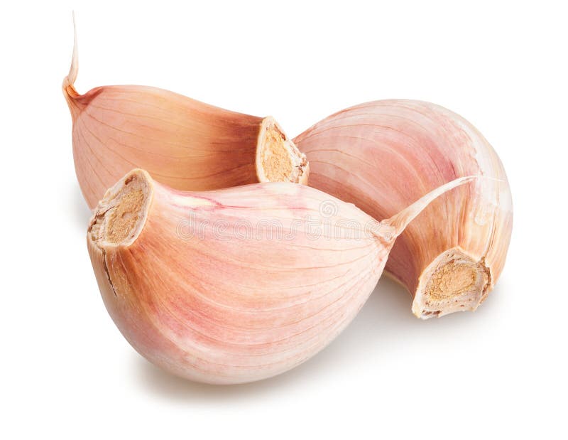 Knoblauch stockfoto. Bild von knoblauch - 109954534
