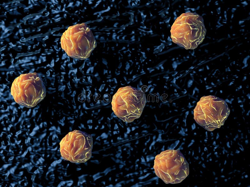 Knochenmark u. Blutzellen vektor abbildung. Illustration von biologie ...