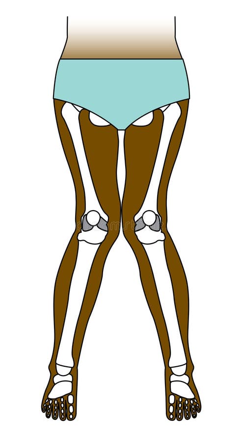 Knock Stock Illustrations – 25,505 Knock Stock Illustrations, Vectors ...