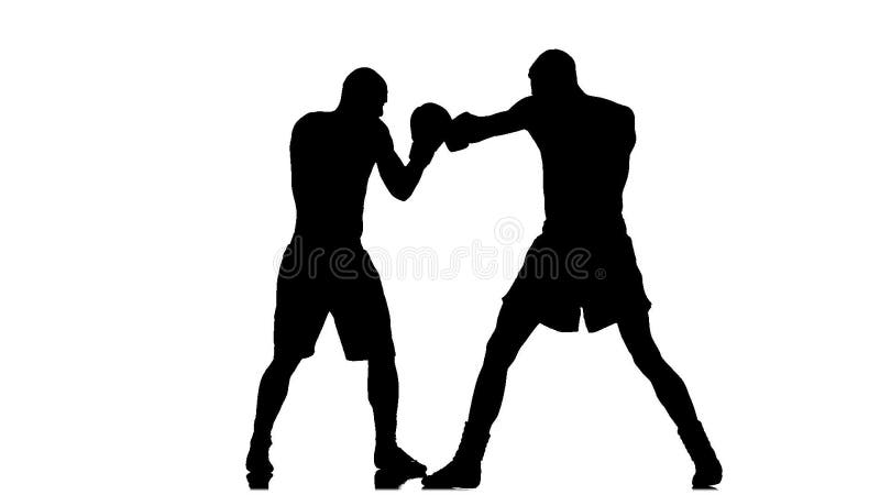 Boxer Falling Down To Boxing Ring Floor after Knockout Punch. Knock Out ...