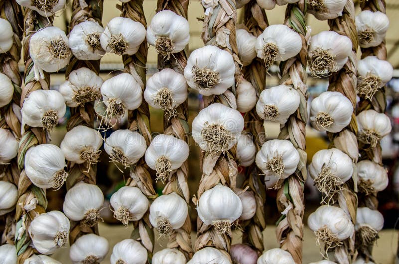 Knoflook stock foto. Image of plantaardig, kruiden, rijp - 70156446