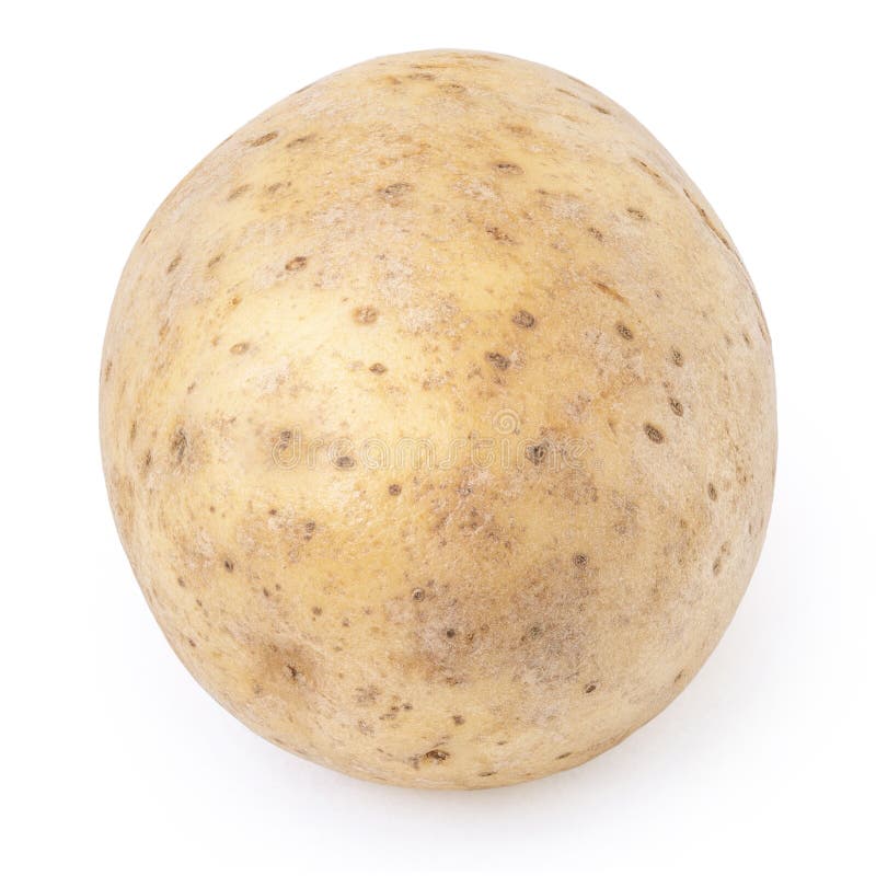 Knolle der rohen Kartoffel stockbild. Bild von rund, haut - 90439527