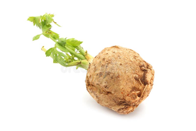 Knolselder stock foto. Image of niemand, schoon, aroma - 39669464
