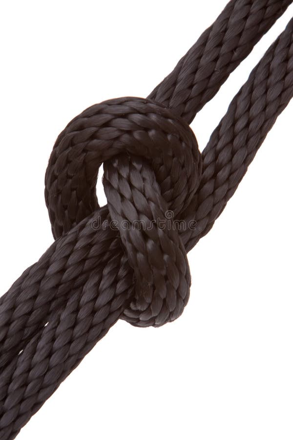 Knot stock photo. Image of white, knot, shot, studio - 13825806