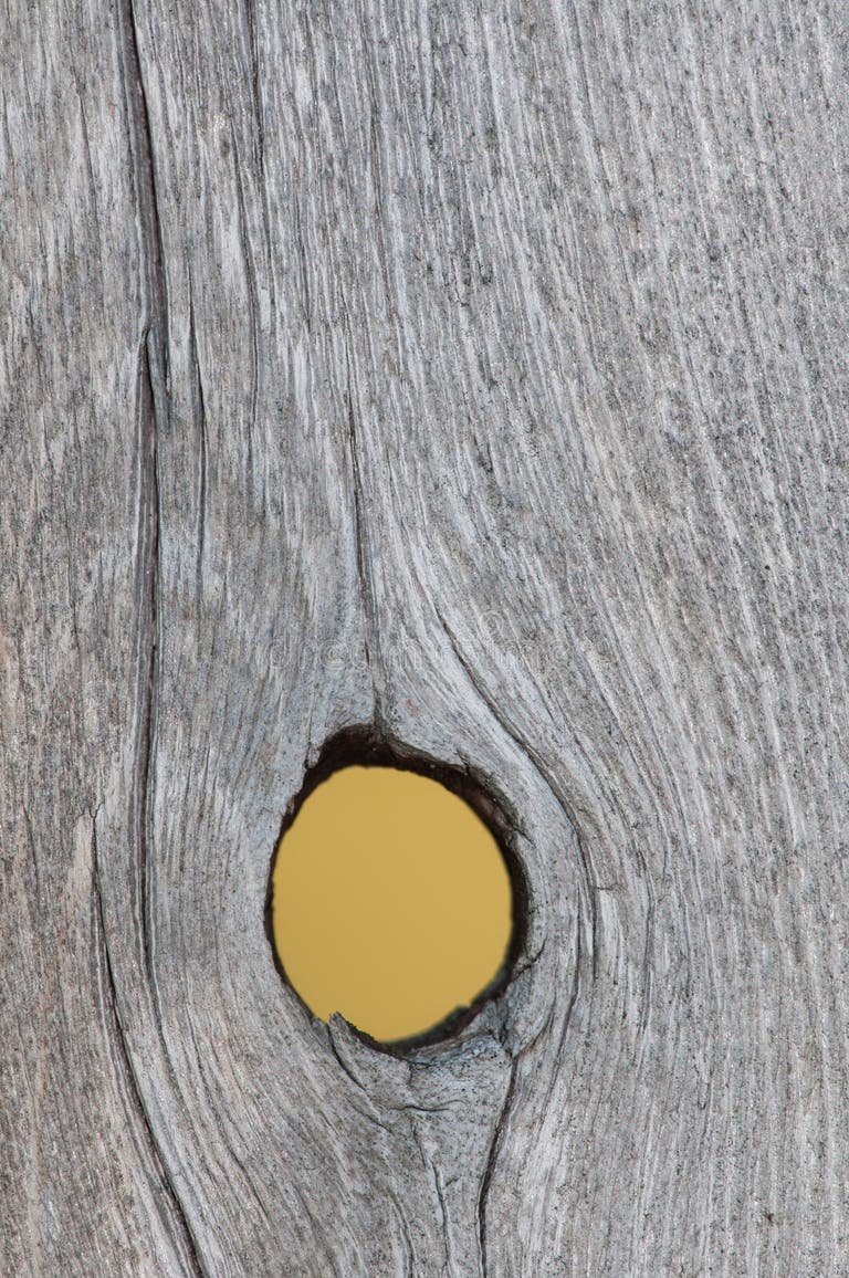 717 Knot Hole Wood Plank Texture Stock Photos - Free & Royalty-Free ...