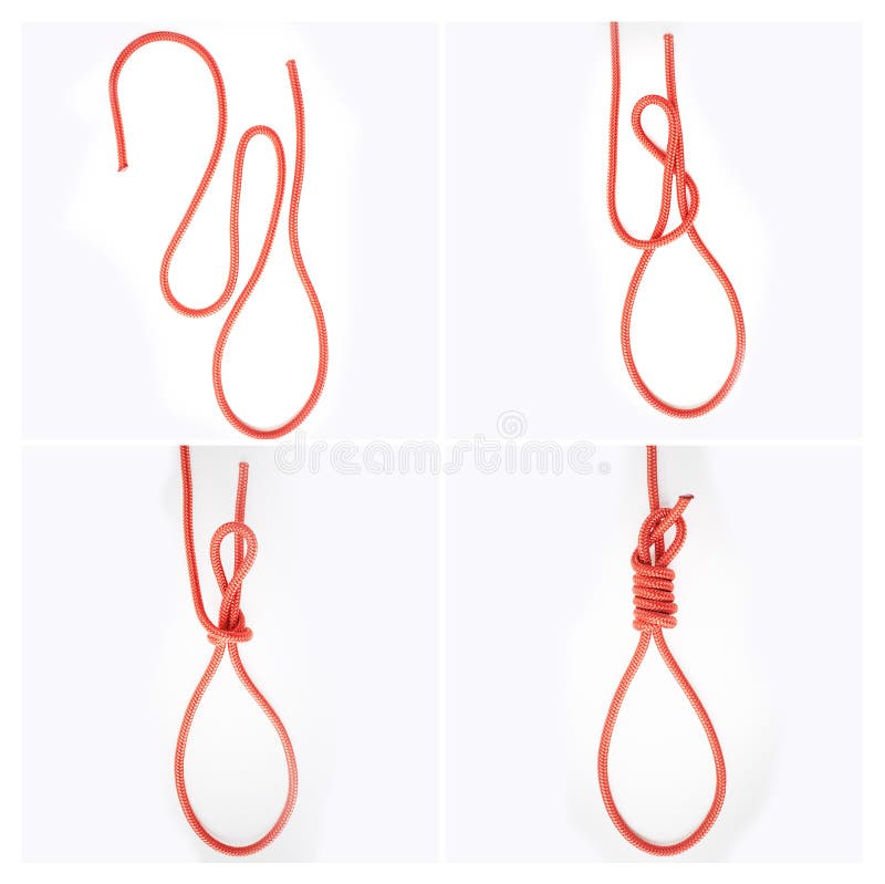 Knot, Noose or How To Tie Ropes on White Background in Studio for ...