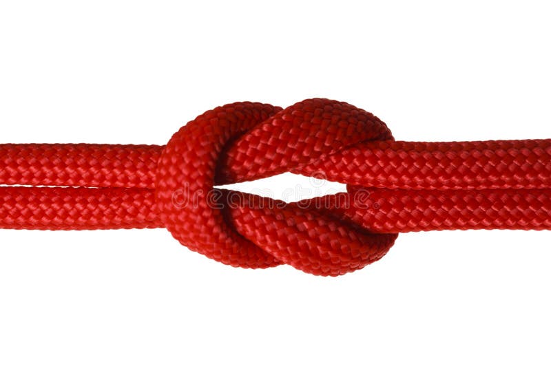 Knot Tangle stock photo. Image of group, matted, large - 36269178