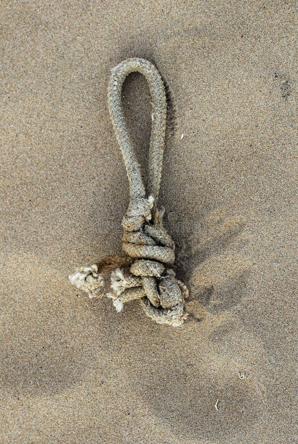 Knot stock photo. Image of beach, wooden, rope, sand - 187808540