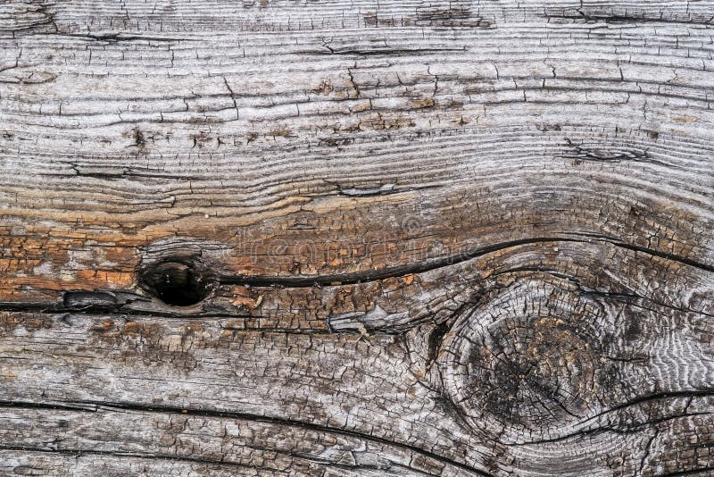 Knot in a Tree Trunk Texture Stock Image - Image of technique, material ...