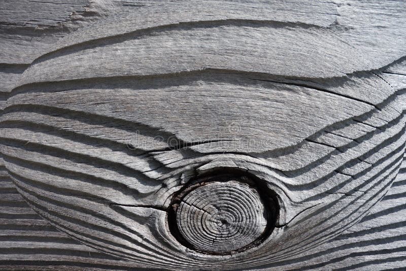 Knothole stockbild. Bild von kugelförmig, gleisen, stab - 73823477