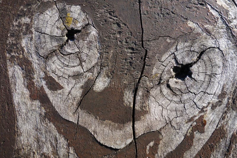 Knothole na madeira foto de stock. Imagem de materiais - 146575284