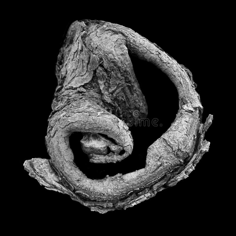 Knothole stock image. Image of portal, shape, abstract - 255983273