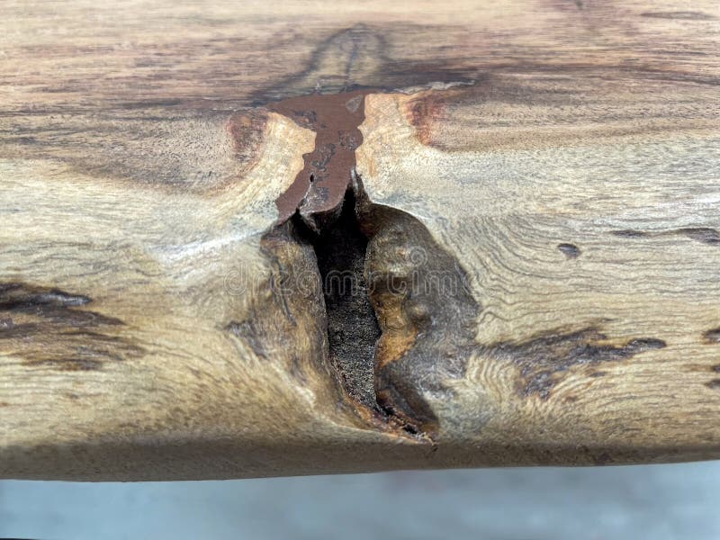 Knotholes and Defects in Wooden Panel Repaired with Wood Putty Stock ...